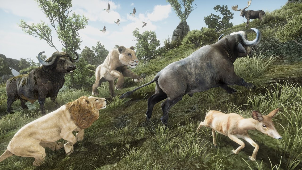 🐃Ultimate Furious Buffalo Simulator, Buffalo Family Life Simulator ...