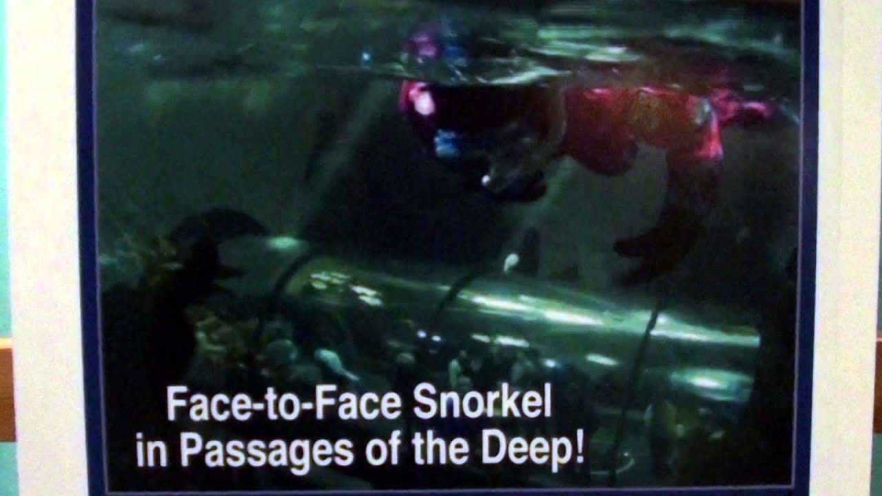 Snorkel and Dive at the Oregon Coast Aquarium - YouTube