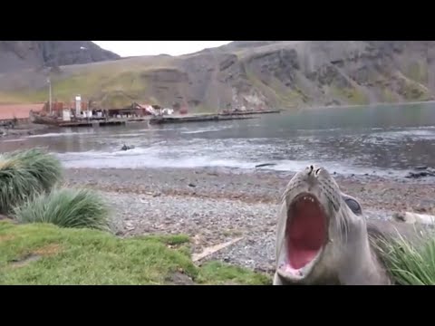 AAAAAAAAAAAAAAAAAAAAAAAA