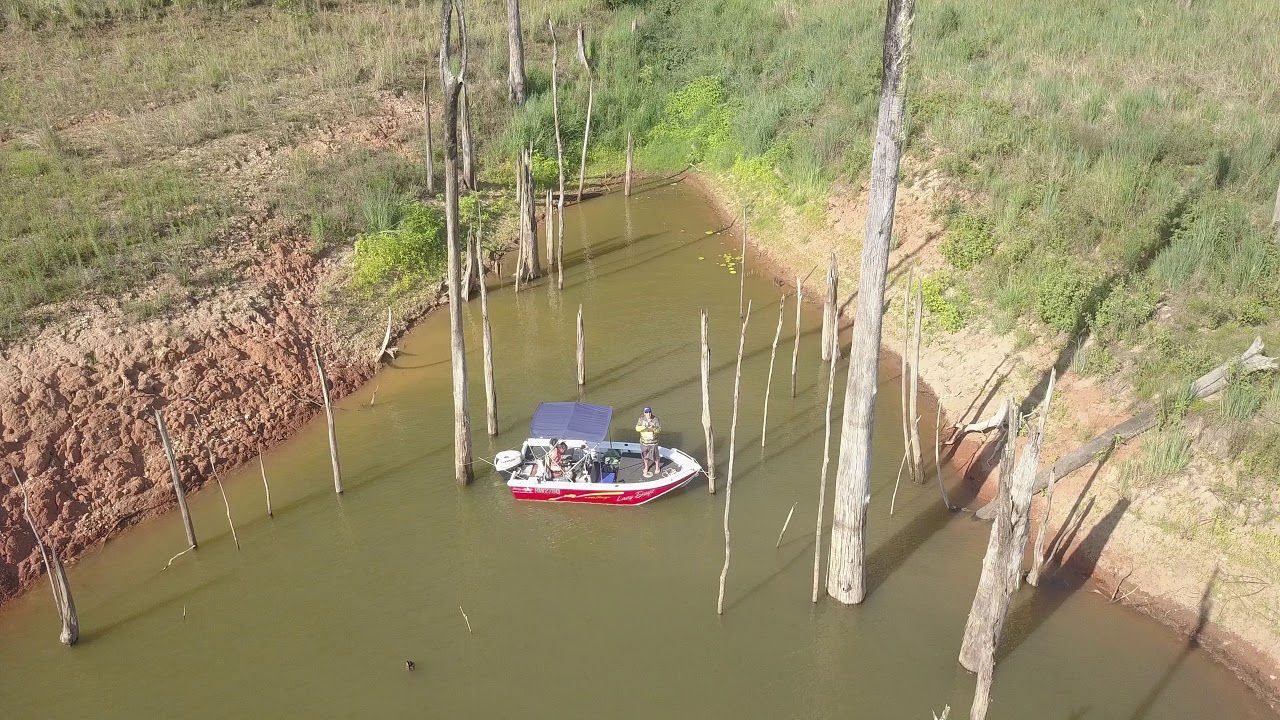 2017 Lake Tinaroo Barra Bash - YouTube