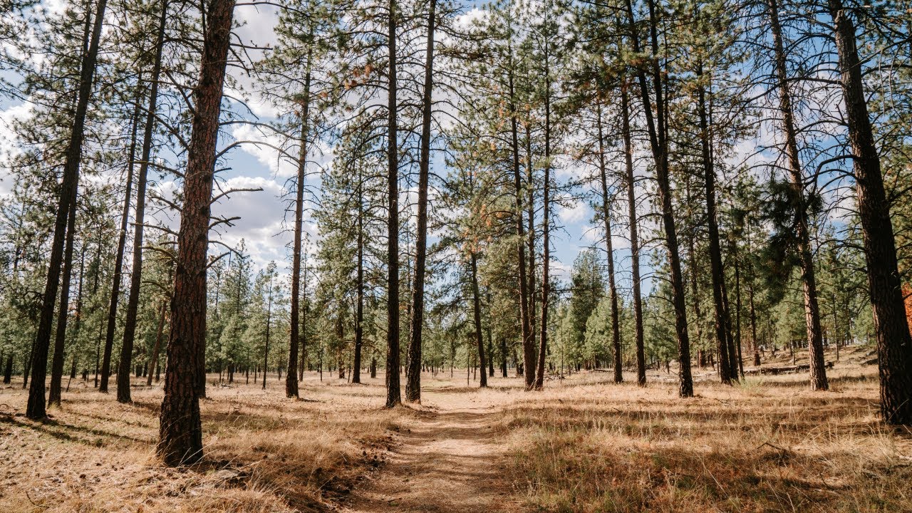 Outdoor Recreation in Spokane, WA - YouTube
