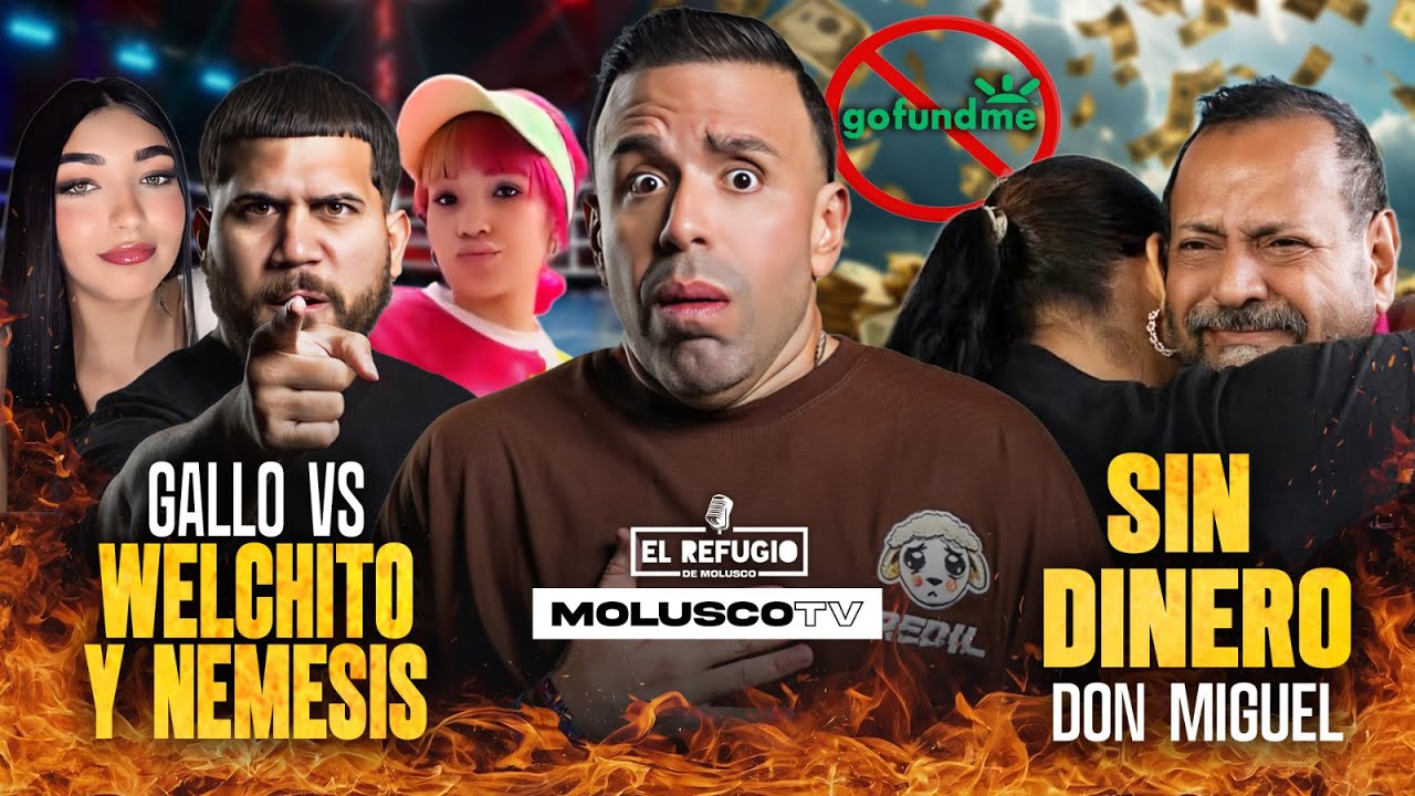 Gallo revienta contra Nemesis y Welchito/ “ESTAMOS EN 0” familia de Don ...