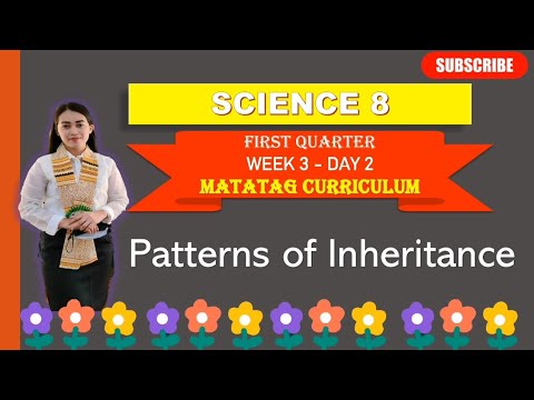 SCIENCE 8: Q1_Week 3- Day 2: PATTERNS OF INHERITANCE ||MATATAG ...