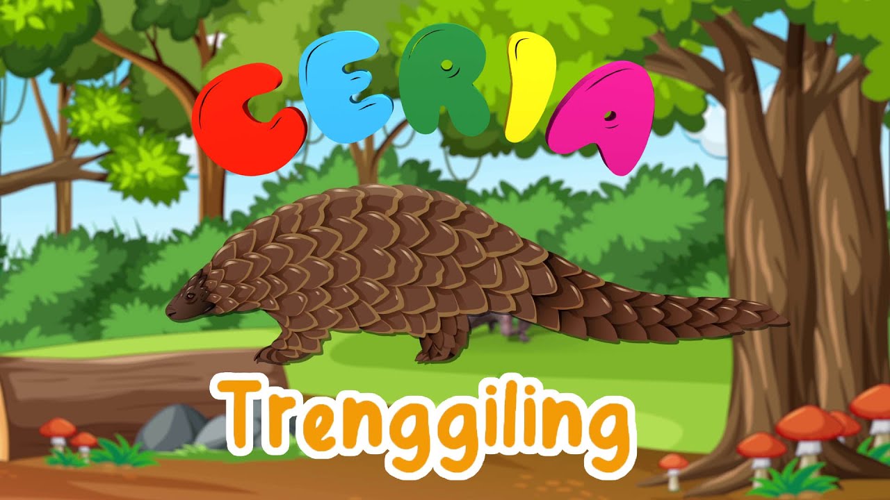CERIA - Belajar Tentang Hewan: Trenggiling - YouTube