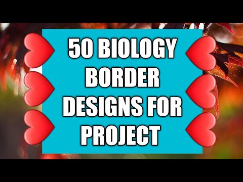 Biology Border Designs For Project |Biology Assignment Designs |Biology ...
