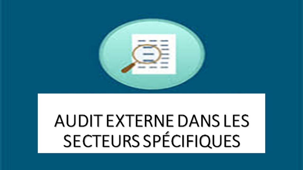Audit Externe dans les Secteurs Spécifiques - YouTube