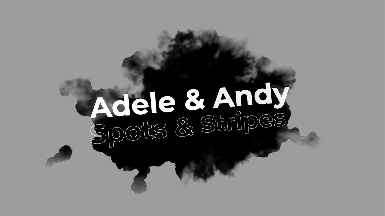 ** Official Music Video** Spots & Stripes - Adele & Andy - YouTube
