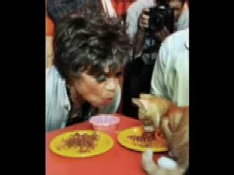 Eartha Kitt Dies At 81 - Legendary Singer Actress - Colon Cancer - YouTube