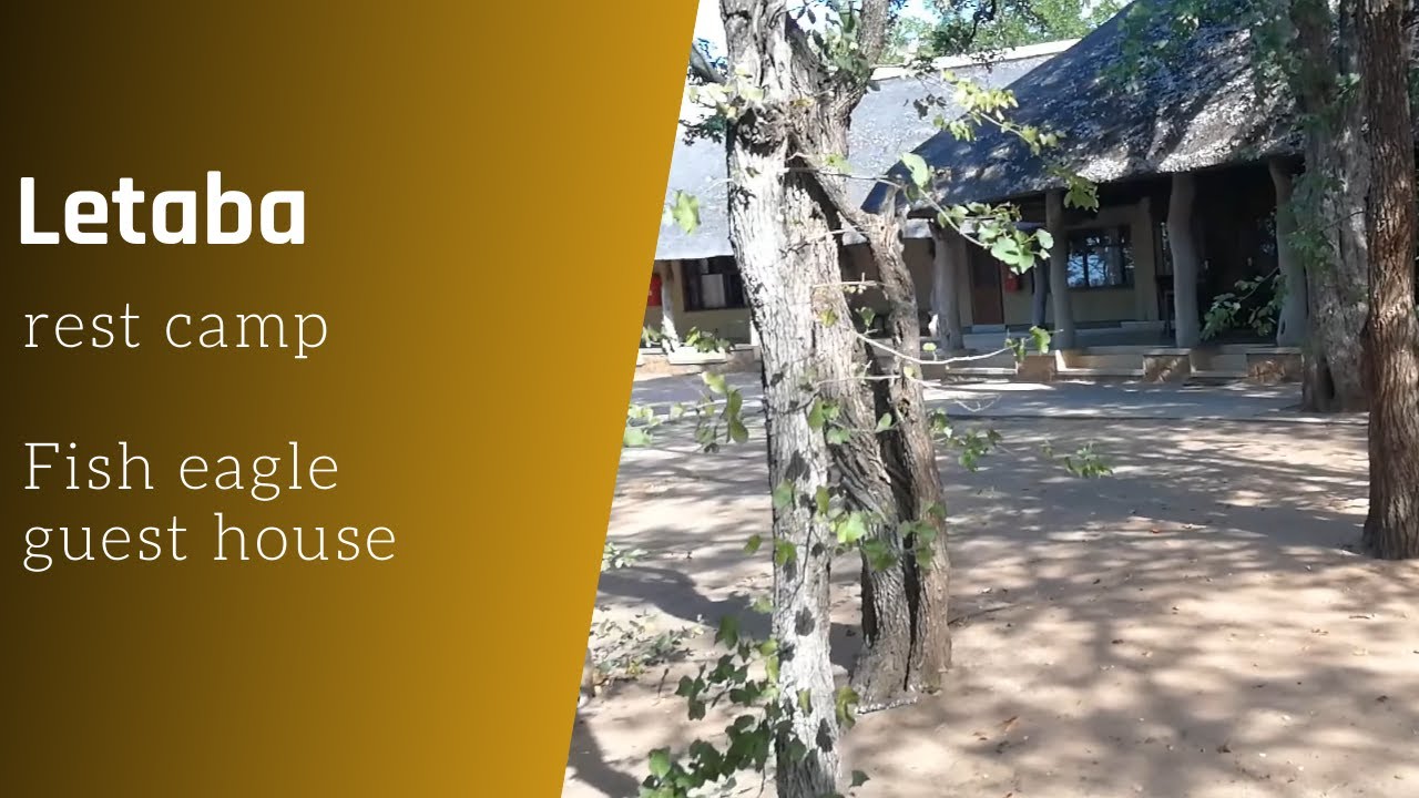 Fish eagle guest house - Letaba rest camp - Kruger national park - YouTube