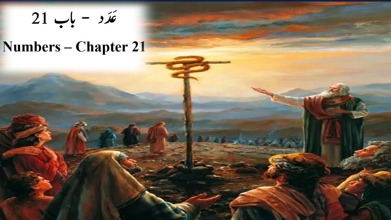 Addad Baab 21 - Numbers Chapter 21 - YouTube