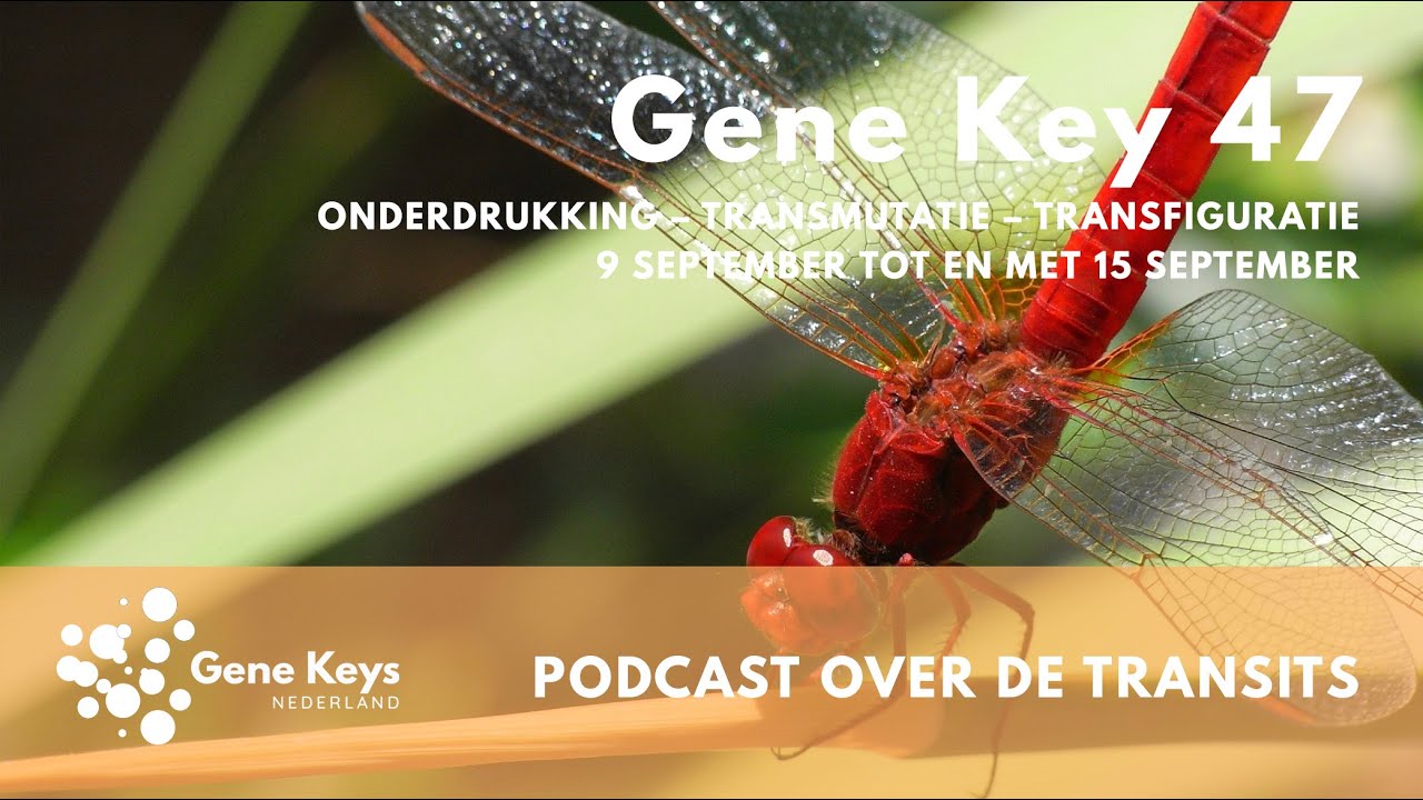 podcast Gene Key 47 - YouTube