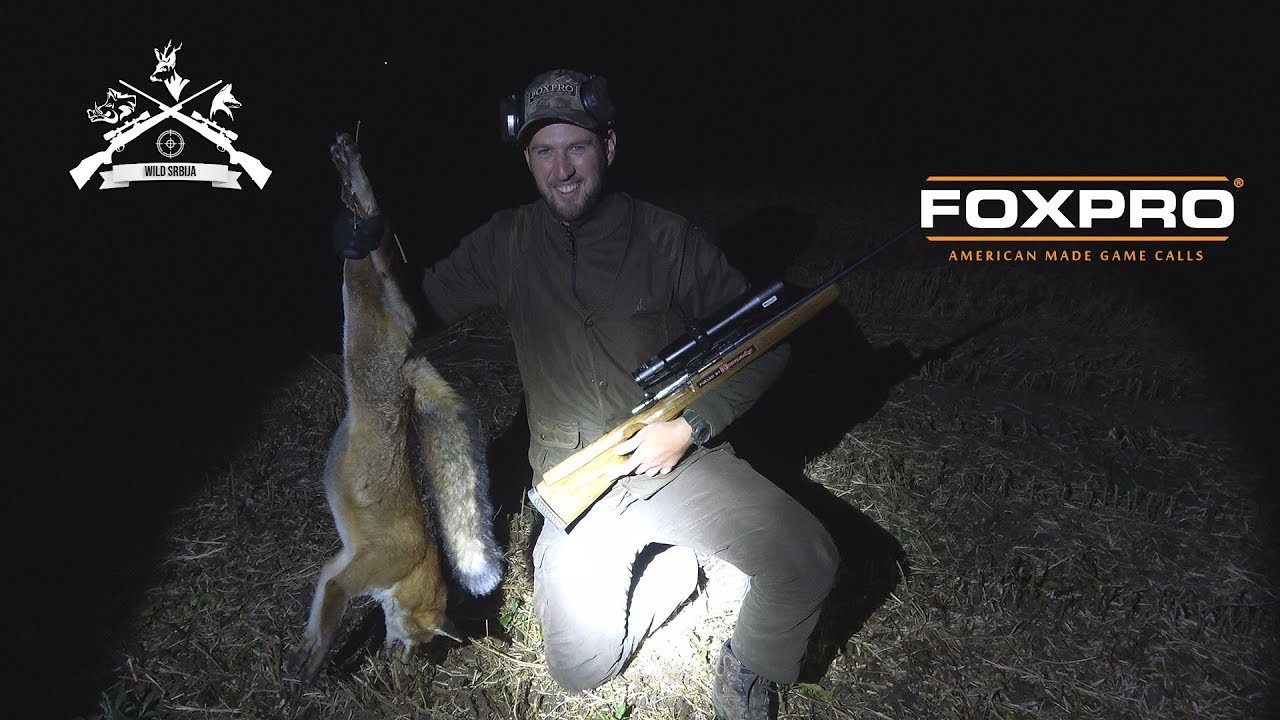 E56 Lov na lisice - Test FOXPRO/ Fox hunting - FOXPRO hand calls on ...