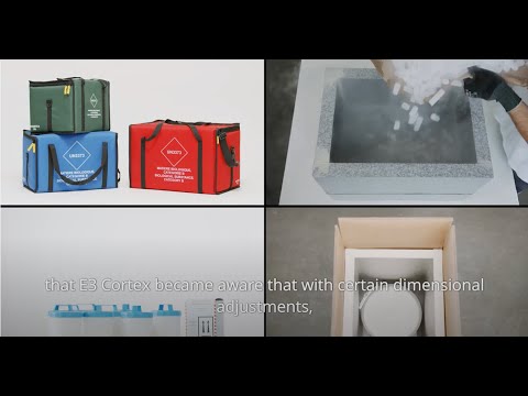 E3 CORTEX Medical English - YouTube