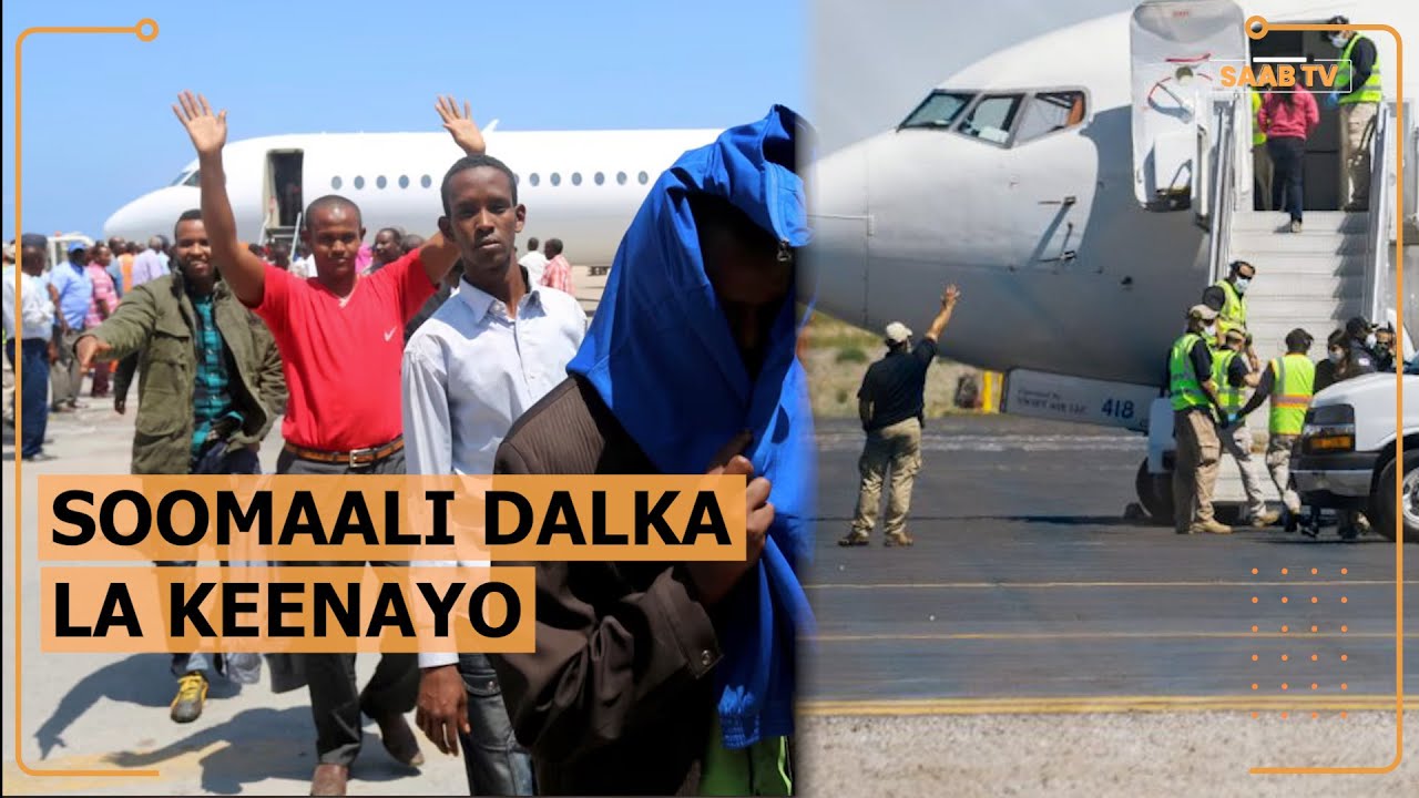 600 qof oo tahriibayaal Soomaali ah, ayaa la soo masaafurinayaa - YouTube