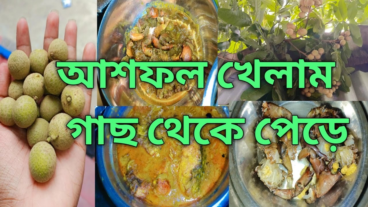 Vlog#260 Video delete hoye gelo 😭 lunch kakra jhal🦀 katla macher ...