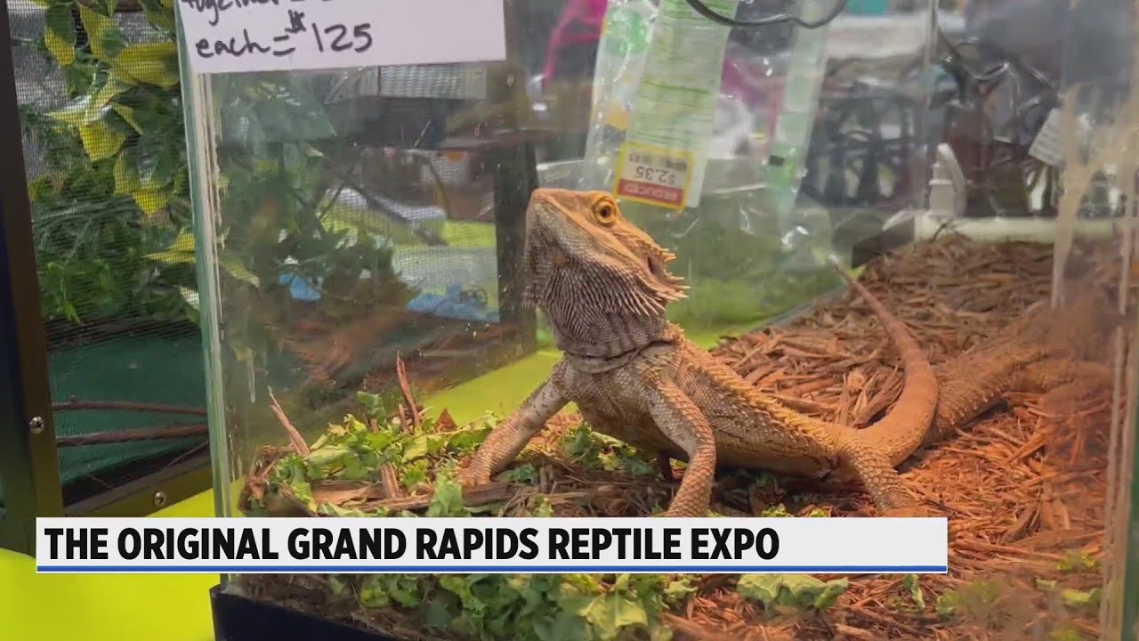 The original Grand Rapids reptile expo - YouTube