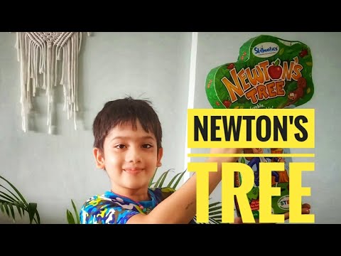 Skillmatics Newton's Tree Game - YouTube