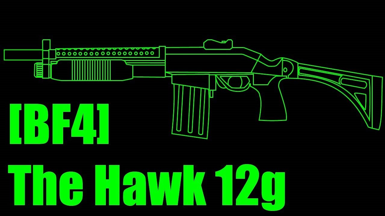 [BF4] The Hawk 12g is Nuts - YouTube