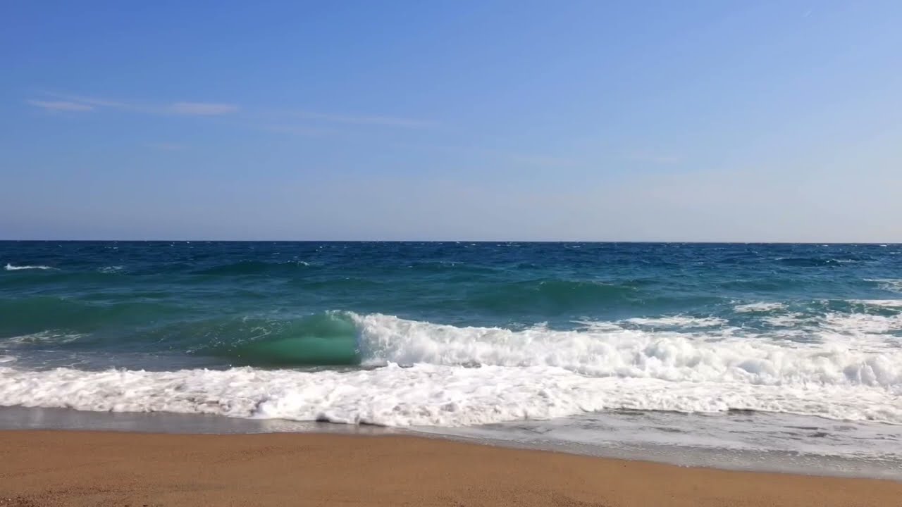 Tropical Beach Waves - Relaxing Ocean Ambience - YouTube