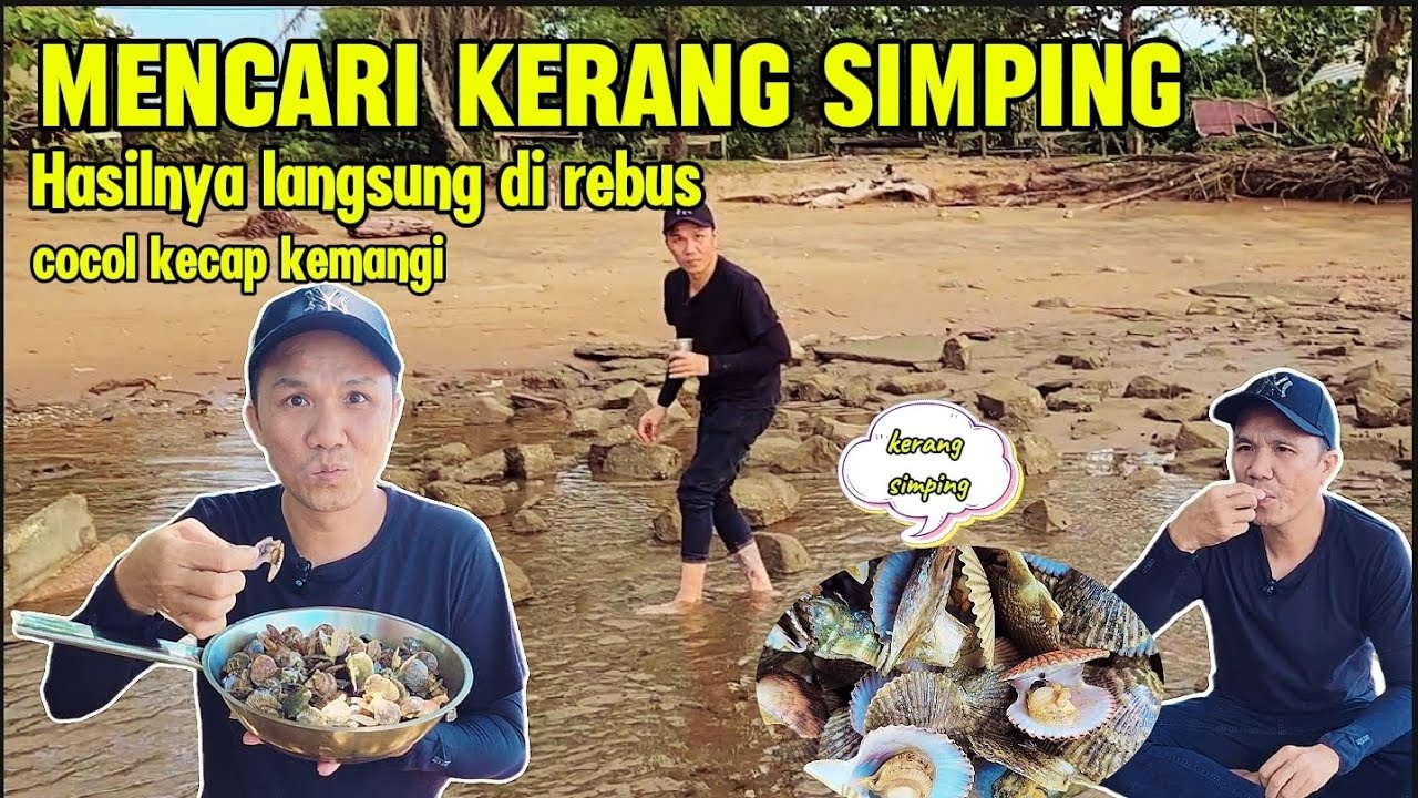 MENCARI KERANG SIMPING ATAU SERUPA PASIR⁉️HASILNYA LANGSUNG DI REBUS ...