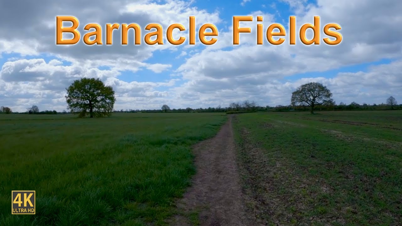 Barnacle Fields Bulkington Warwickshire - YouTube