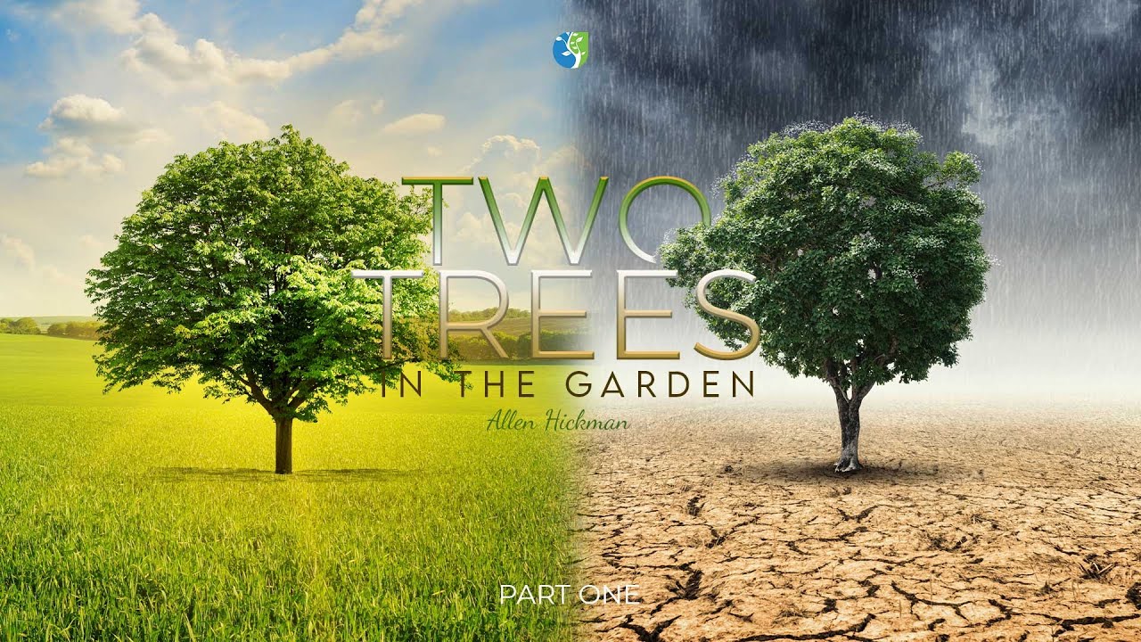 Two Trees in the Garden, which one will you choose - YouTube