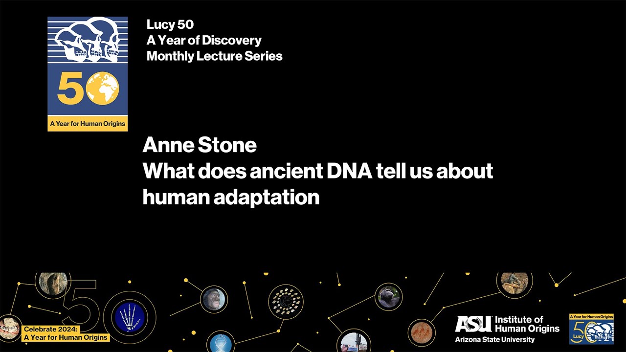 Lucy 50 Monthly Lecture Series—Anne Stone PhD - YouTube
