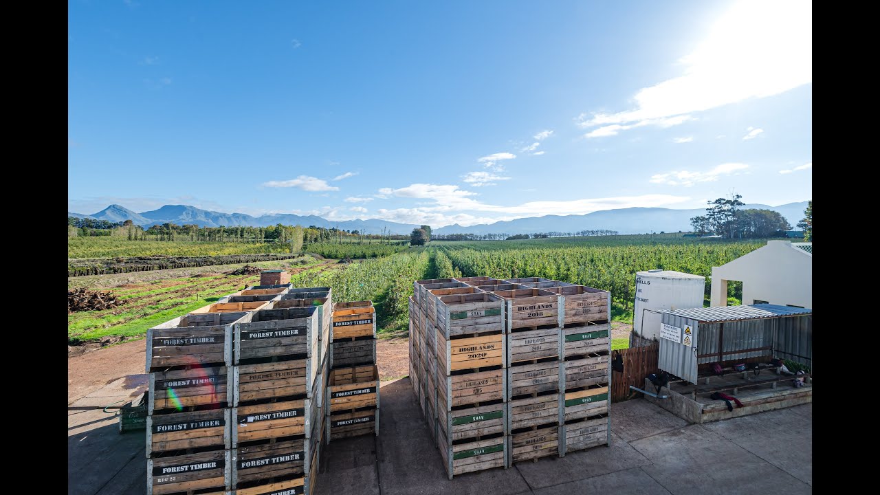 Ideal Apple Farm and Packshed 18.82 ha farm with apples from the tree ...