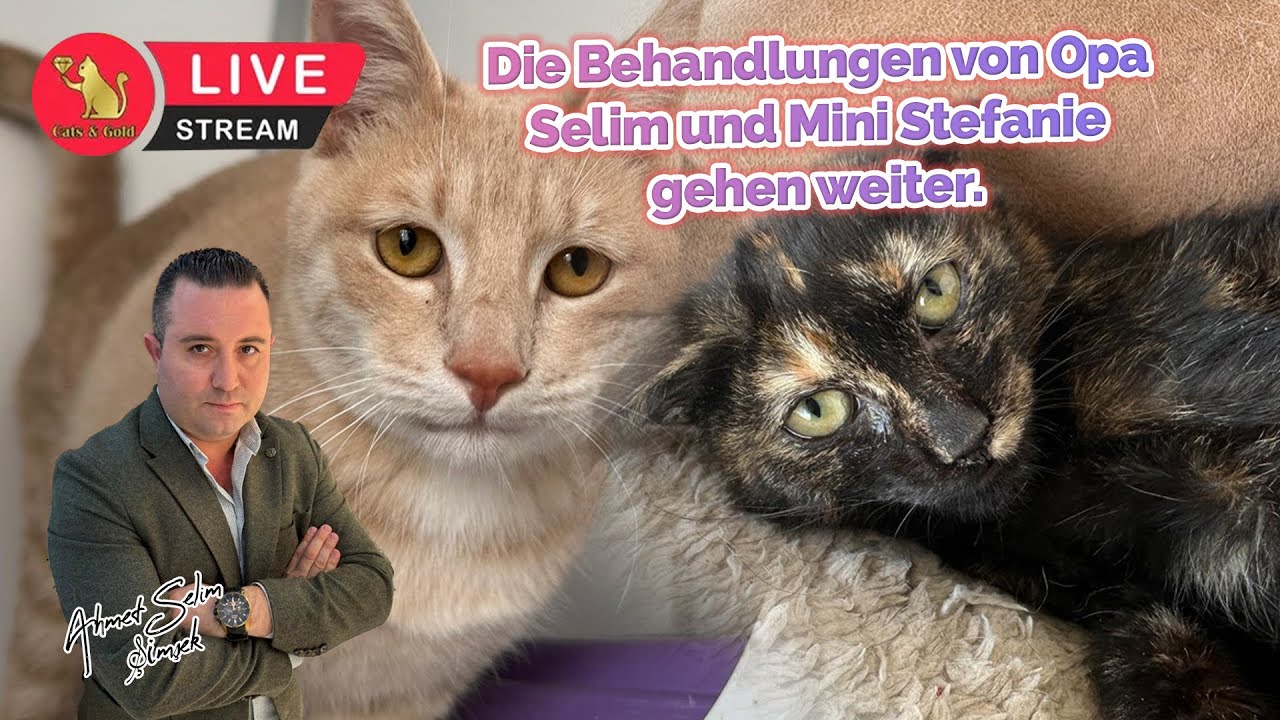 Die Behandlungen von Opa Selim und Mini Stefanie gehen weiter. - YouTube
