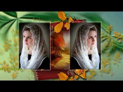 Son Bahar - Sarı Yapraklar