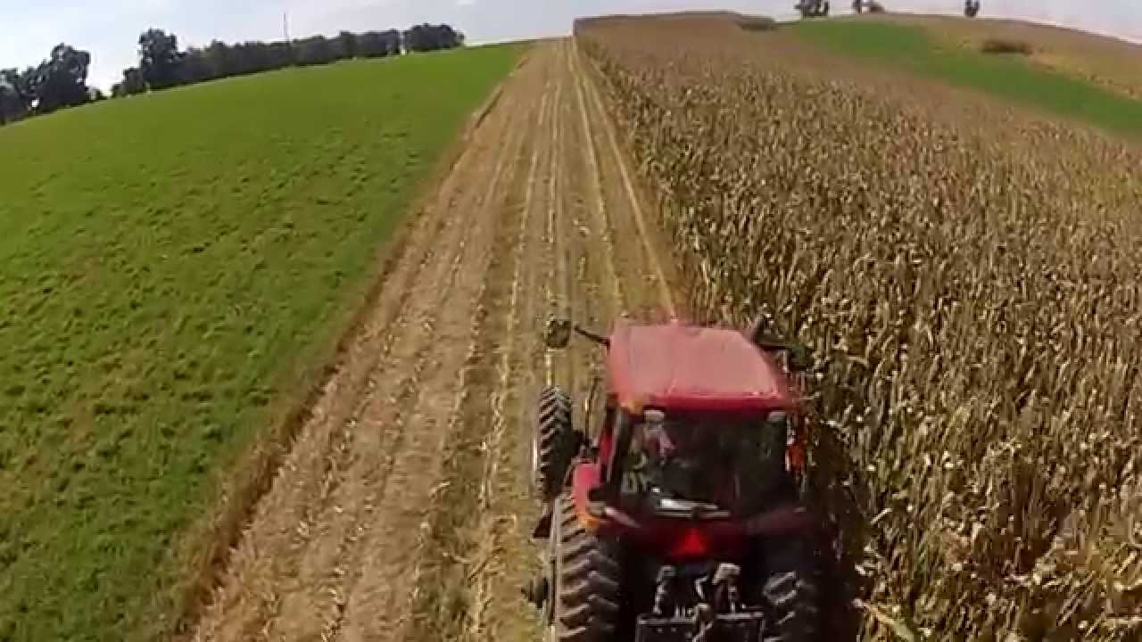 The Science of Soil Health: Using Cover Crops to Soak up Nutrients for ...