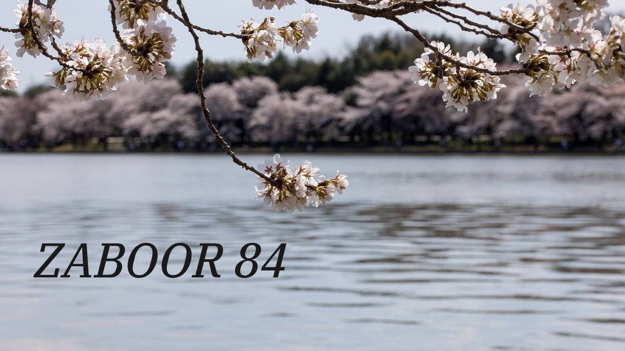 ZABOOR 84 || URDU/HINDI PSALM 84 || BIBLE READING URDU/HINDI || MASHI ...