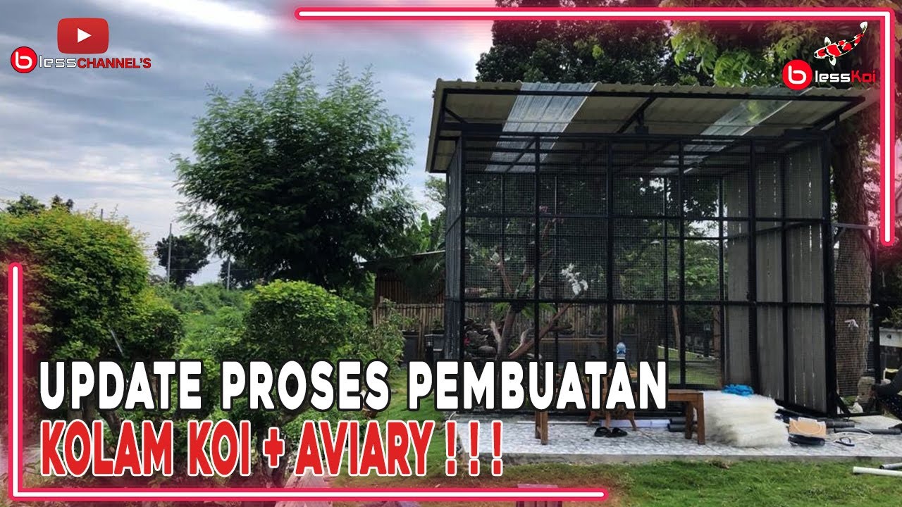 UPDATE PROSES PEMBUATAN KOLAM KOI + AVIARY - YouTube