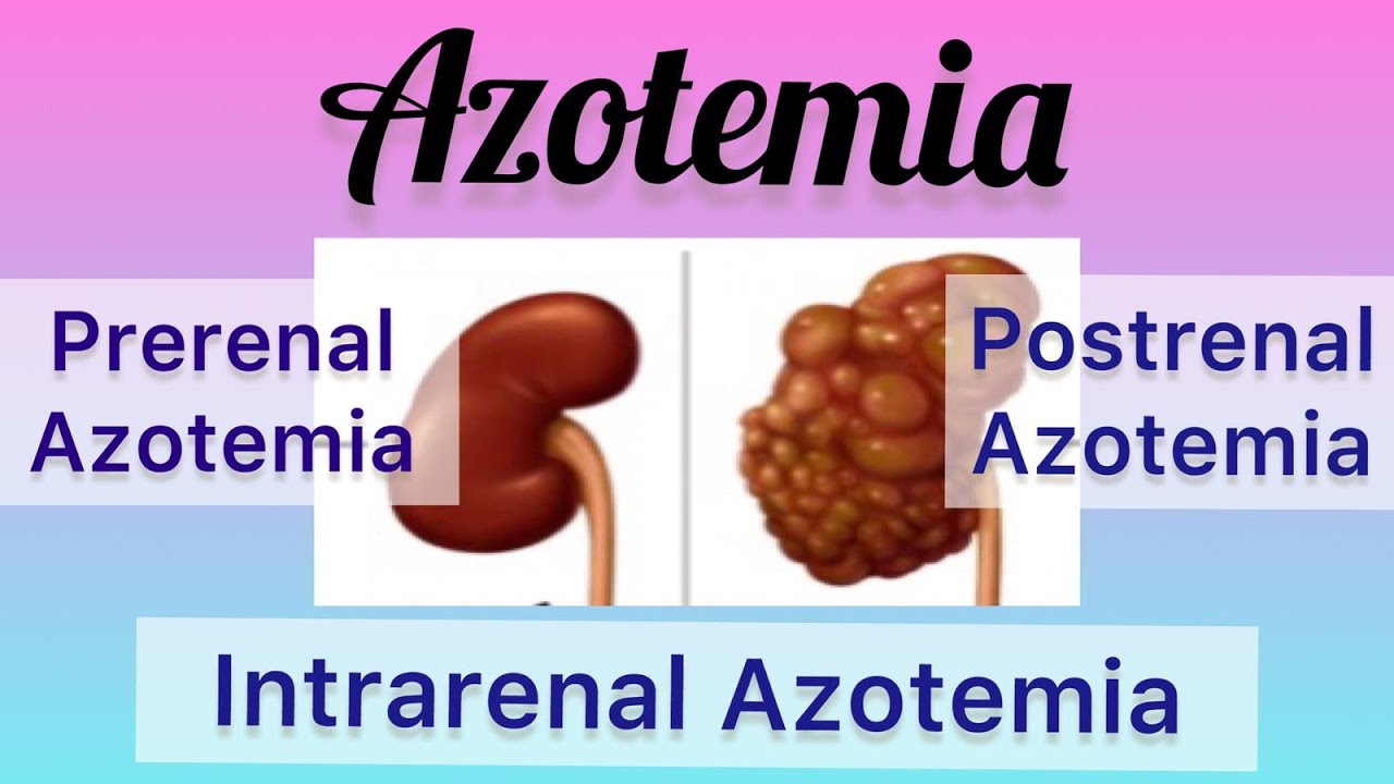 Azotemia types of azotemia | prerenal | postrenal | intra renal # ...