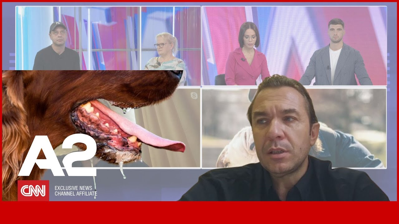 Puthja e kafshëve shtëpiake, mjeku: Kujdes nga pështyma, ka infeksione ...