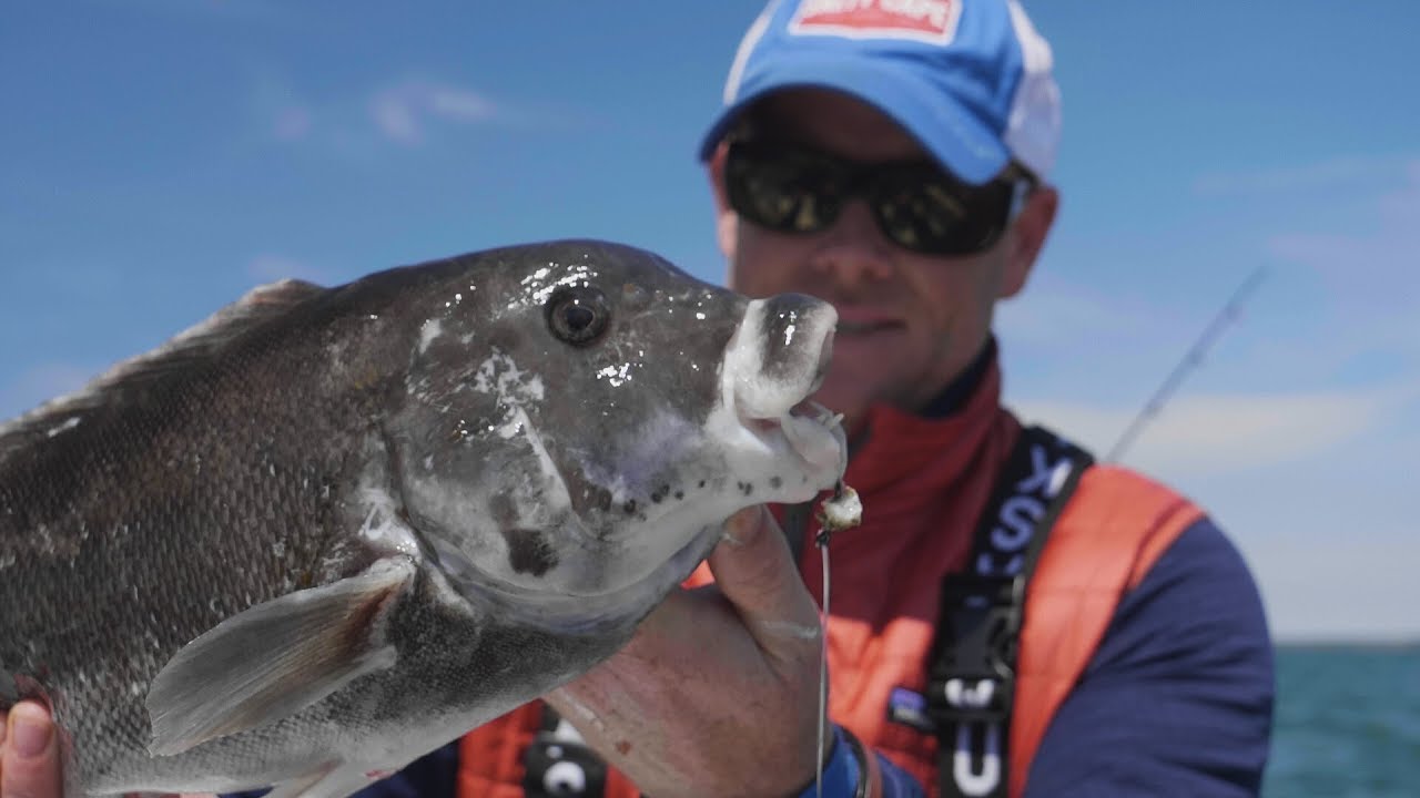 How to Catch Tautog with the Hogy Utility Rig - YouTube