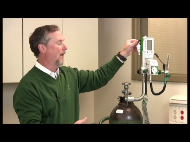 Pares #craneales #nervios #cerebro #enfermeria #mnemotecnia, 48% OFF