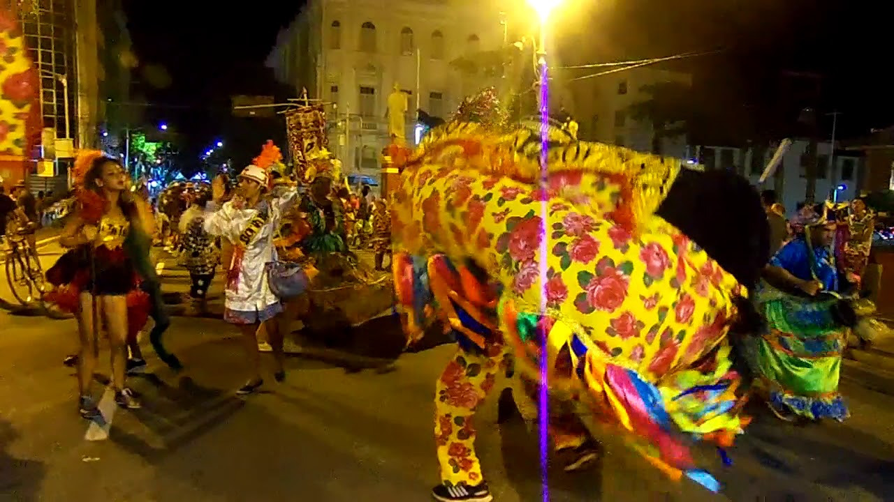 DIA MUNICIPAL DOS BOIS - DIA DO BOI VOADOR - YouTube
