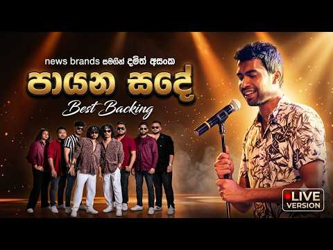 දමිත් අසංක | පායන සදේ | Best Backing LIVE Version | Sarith Surith & The NEWS | Live Performance 2026