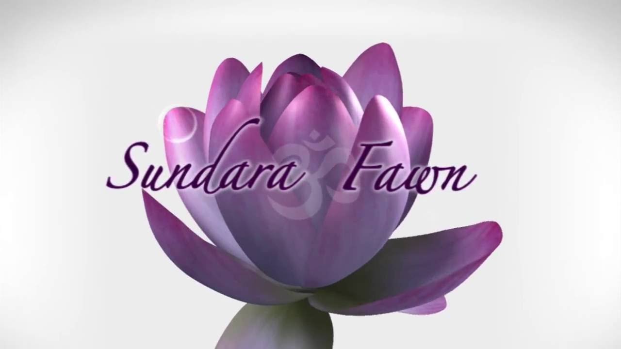 Sundara Fawn Soul Wisdom Card Deck (How to) - YouTube