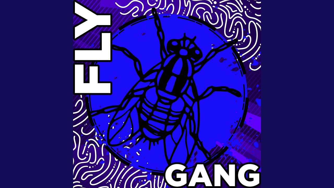 Bad Fly Gang #1341 (Original Mix) - YouTube