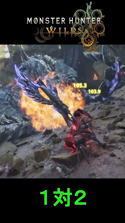 【孤高のぼっちガンサー】戦いは数だよ兄貴【MHWs】 - YouTube