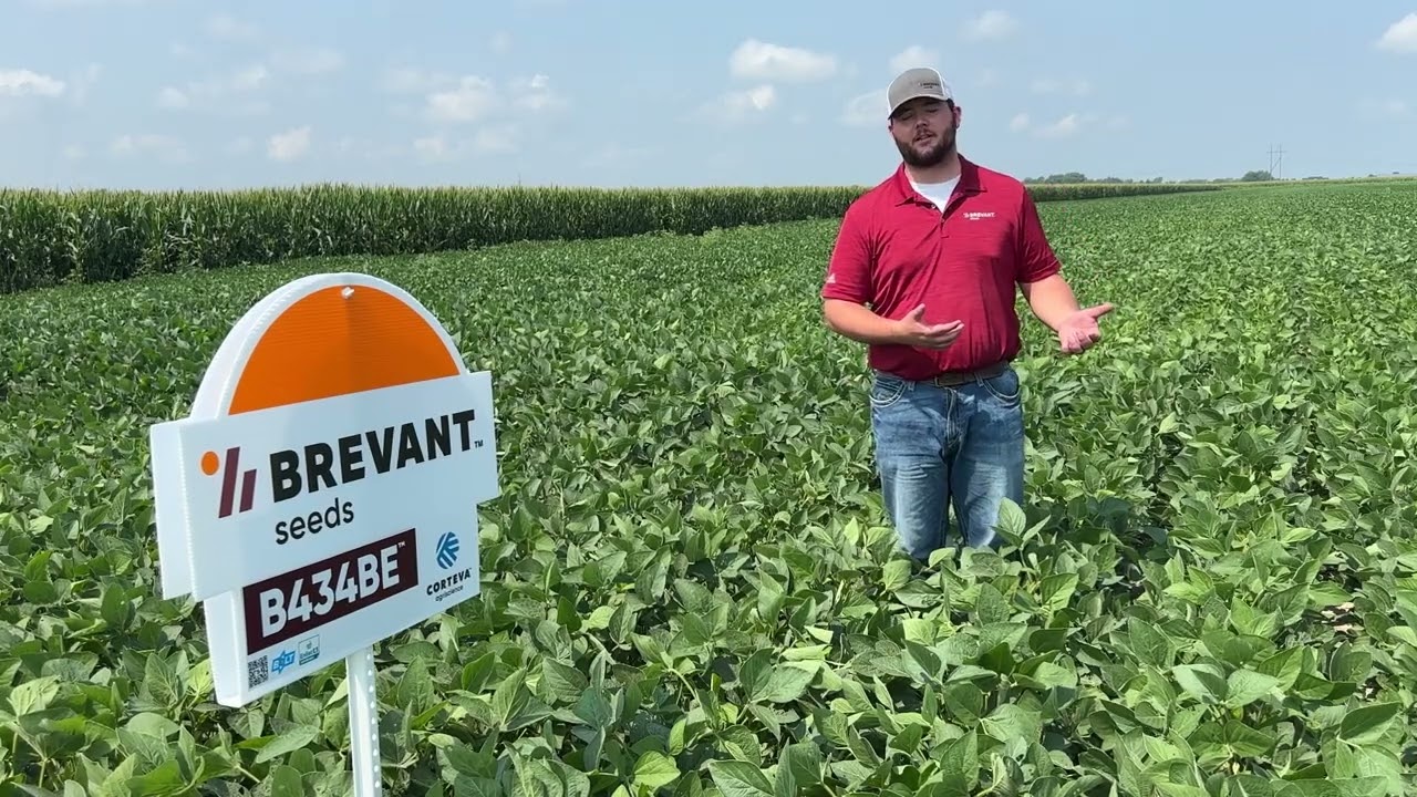 Enlist E3® Soybeans | Brevant Seeds