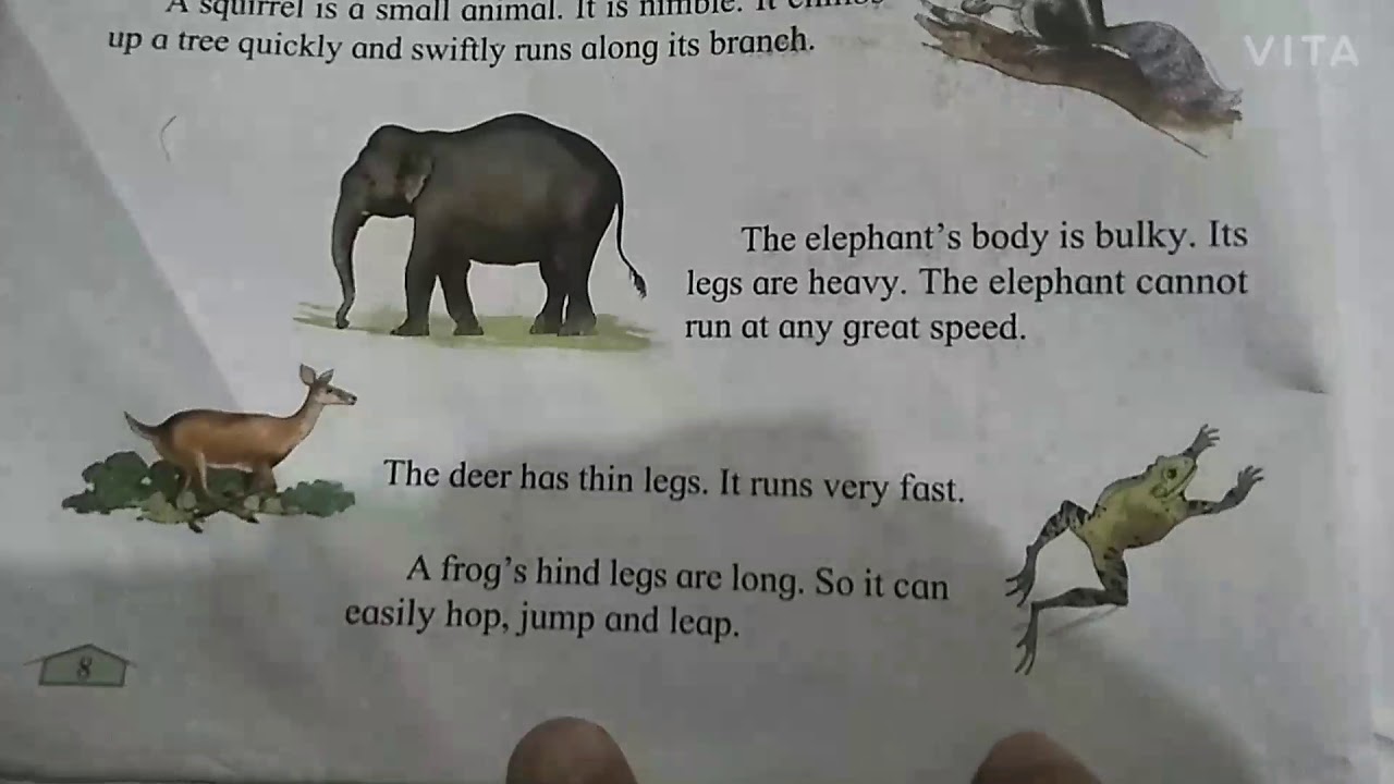 E.V.S (So many kinds of animals) Std. 3rd - YouTube