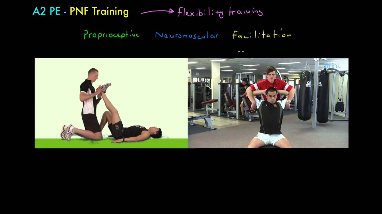 A2 PE - PNF Stretching Short - YouTube