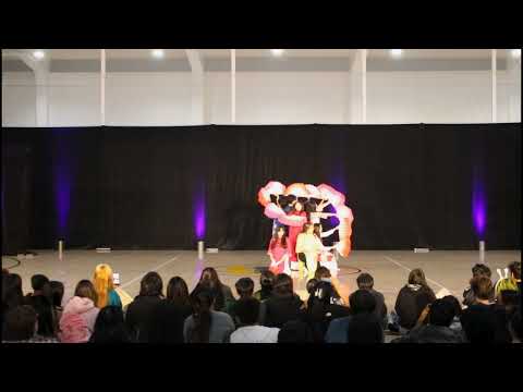 VSA -  Vietnamese Student Association