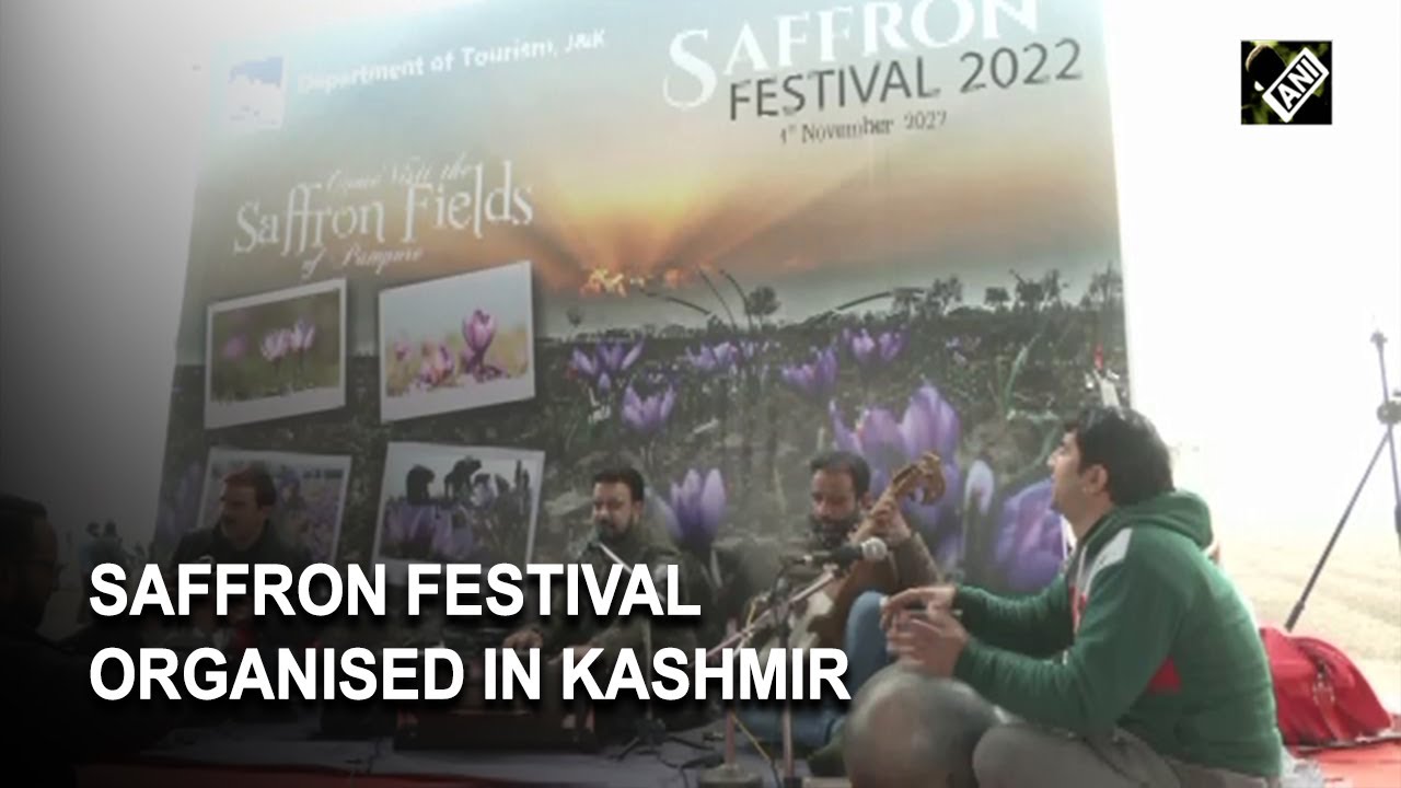 Saffron festival organised to promote tourism in Kashmir - YouTube