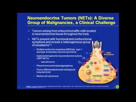 Dr. Hal Gerstein on Neuroendocrine Cancer- NCAN Patient Conference ...