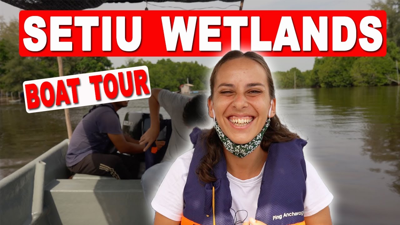 Setiu Wetlands State Park Terengganu - YouTube