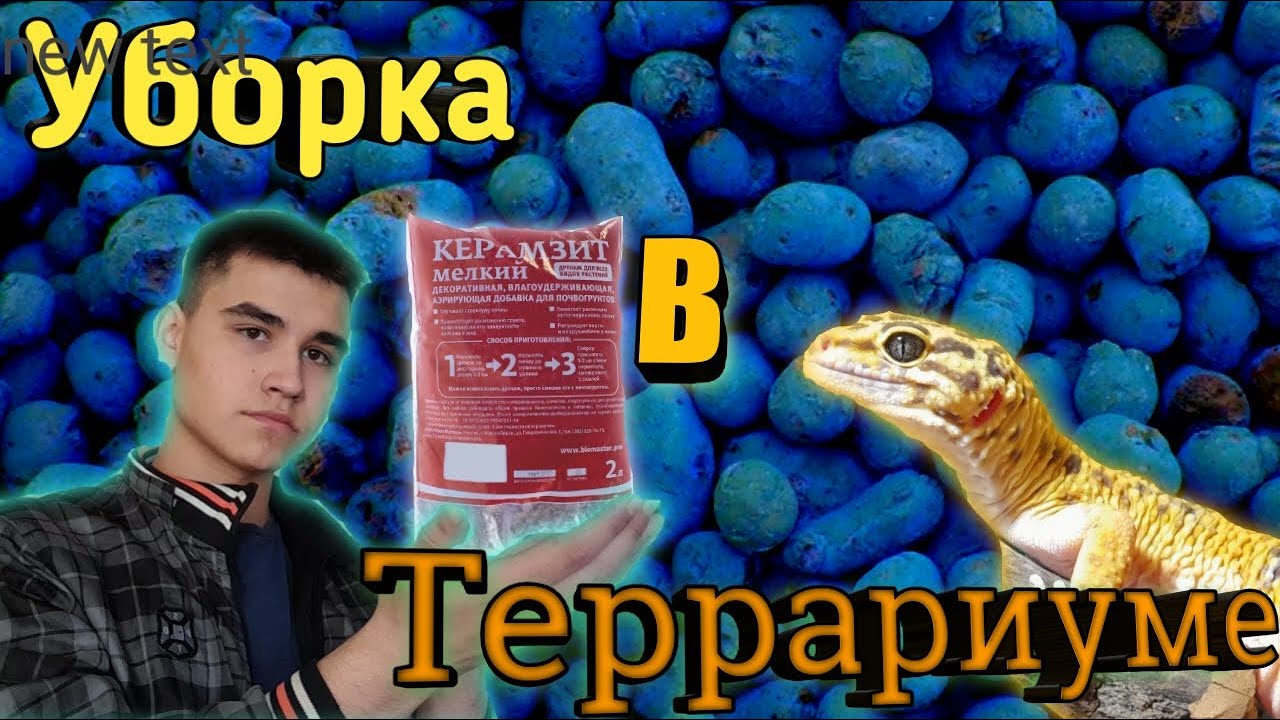 Уборка в террариуме эублефара! - YouTube